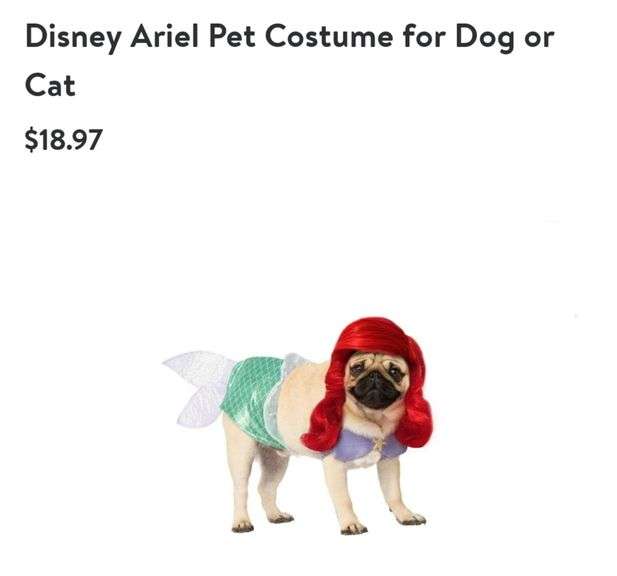 Disney Ariel Dog/Cat XL Costume - Lexington Online Auction