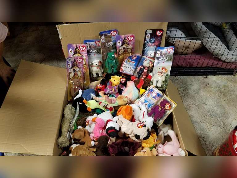Box Of Ty Beanie Babies - Adam Marshall Land & Auction, LLC