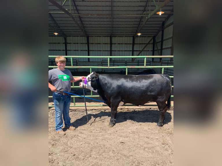 Trevor Broadfoot - Adam Marshall Land & Auction, LLC