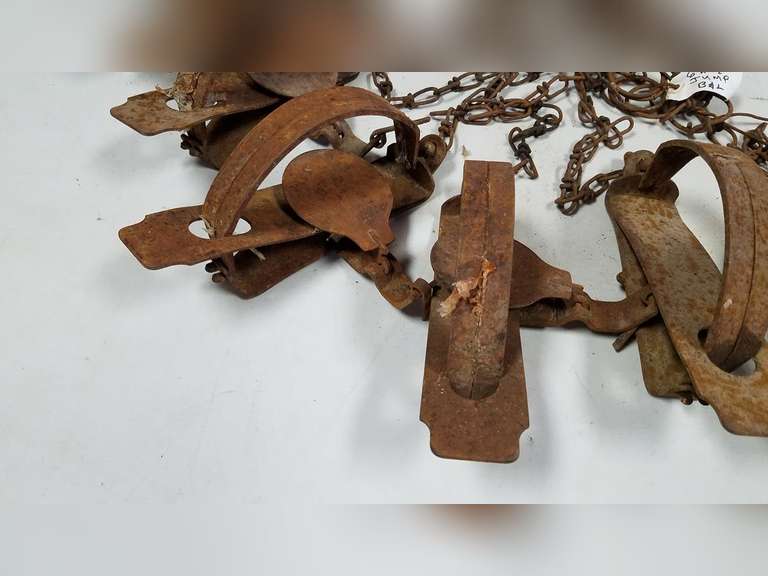 (12) Blake & Lamb #4 jump traps - Adam Marshall Land & Auction, LLC