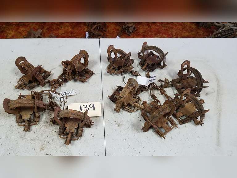 (10) Victor Professional #1.75 Laminated Double Coil Spring Traps ...