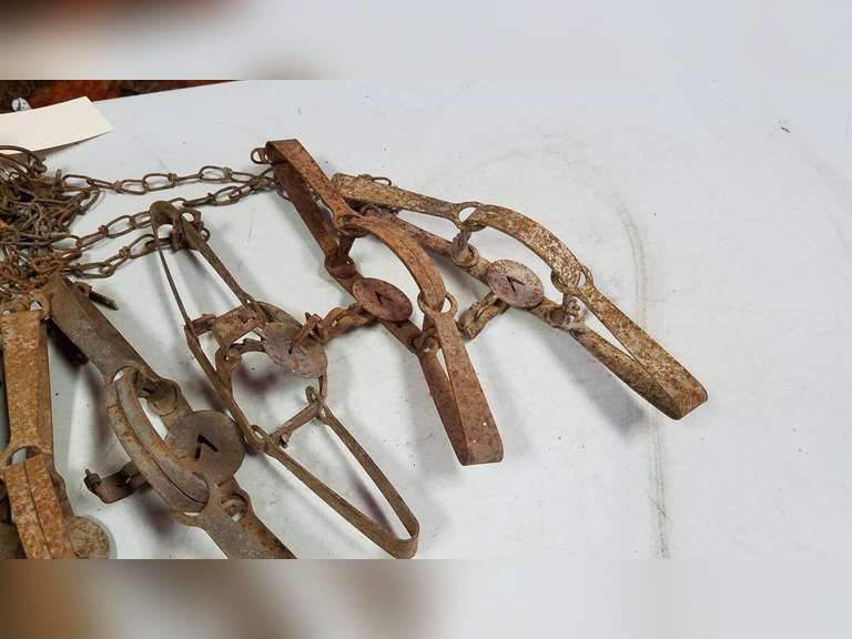 (12) Victor #2 Double Spring Traps - Adam Marshall Land & Auction, LLC