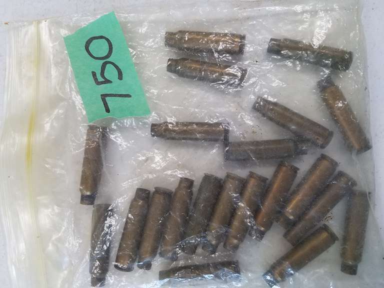 300 Savage - Remington Reloads (17 Rds) + (21 Brass Only) - Adam ...