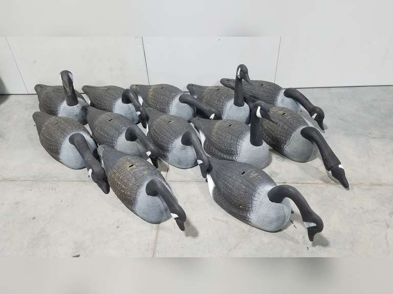 (36) Goose Decoy Shells (Assorted Heads) - Adam Marshall Land & Auction ...