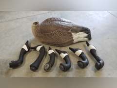 (6) Goose Decoys - G & H Super Mag Shells (Assorted Heads) - Adam ...