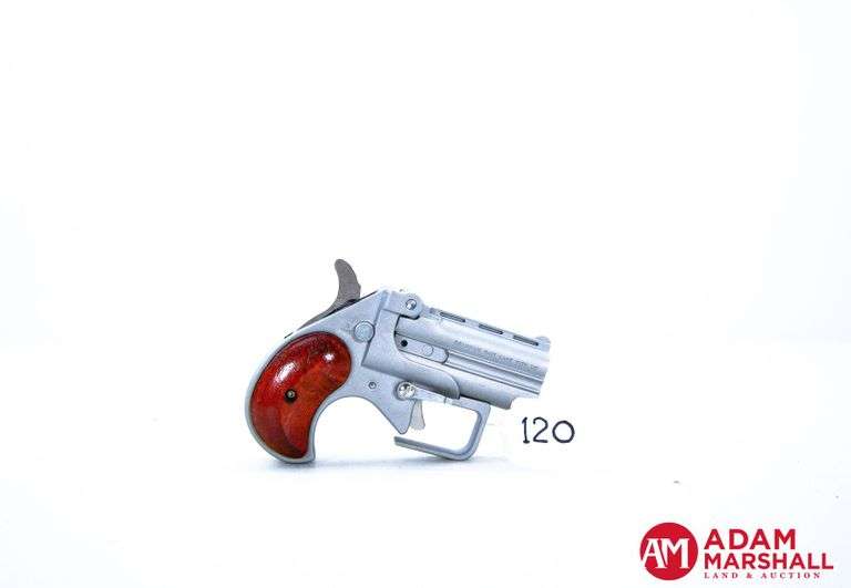 Bearman Model BB69 Derringer - 9 MM - W/Box - BT056979 - Adam Marshall ...