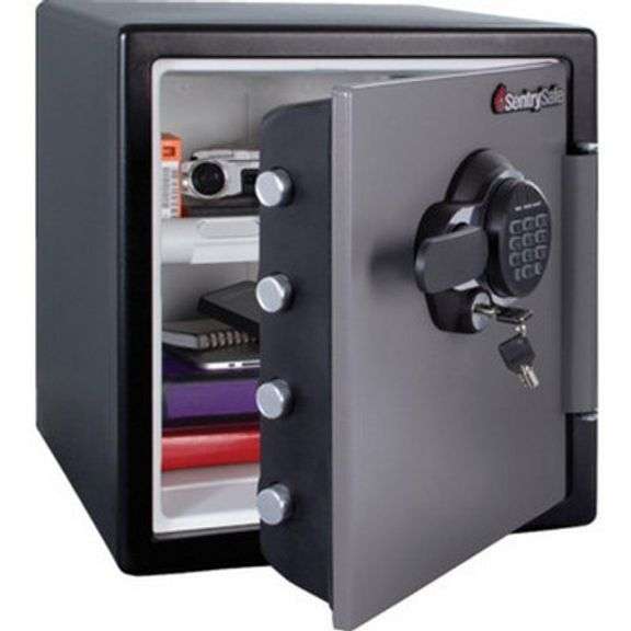 Sentry Safe - Model SFW123GTC - Matthews Auctioneers