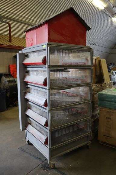 Producers Pride 5 Tier Chick Brooder Heater Tower with dual feeders ...