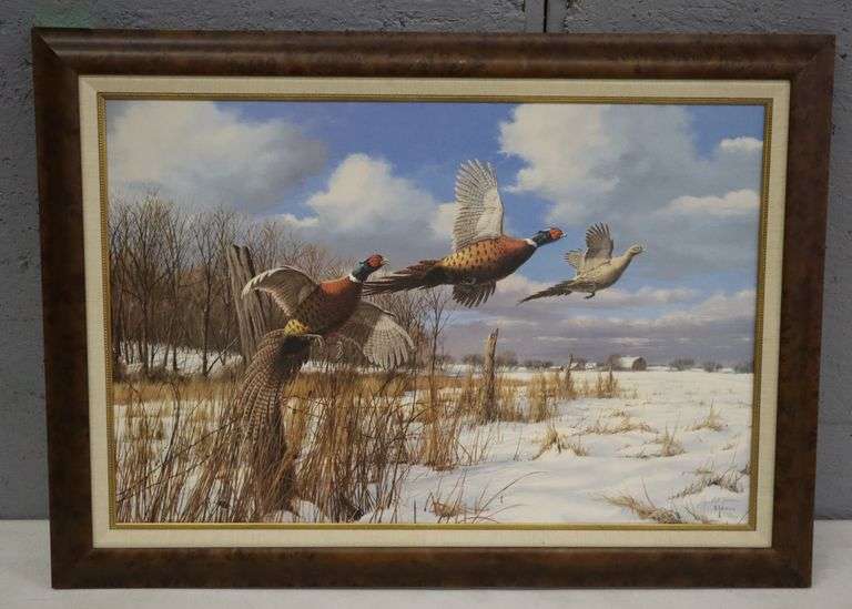 The Old Fence Row - Pheasants By David A. Maass 28"x 38" Framed Print ...