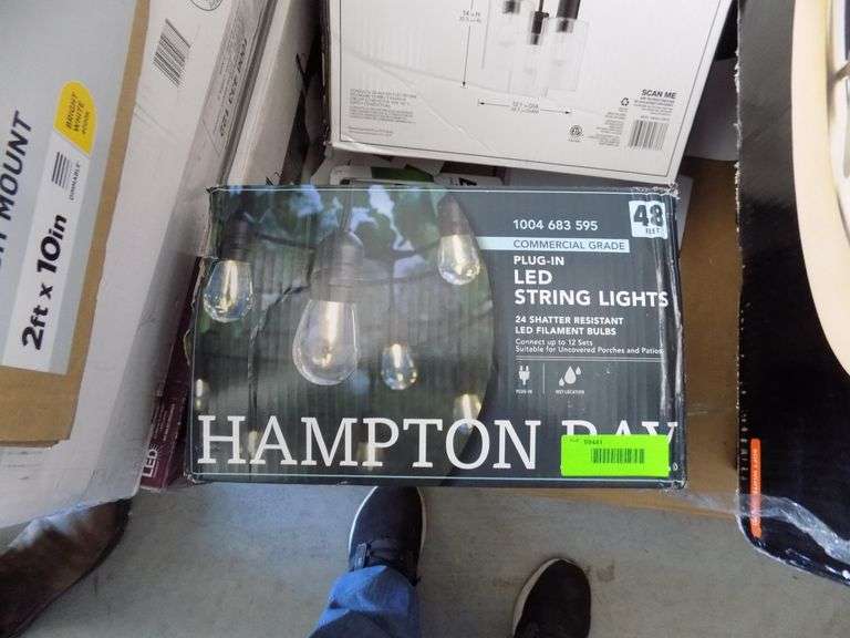 24-Light 48 ft. Indoor/Outdoor String Light with S14 Single Filament ...