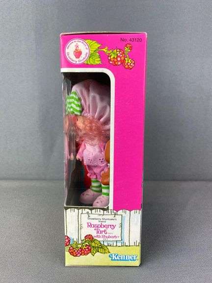Kenner Strawberry Shortcake Raspberry Tart Doll with Rhubarb Pet ...