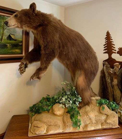 Large Brown bear mount with faux rock base - Matthew Bullock Auctioneers