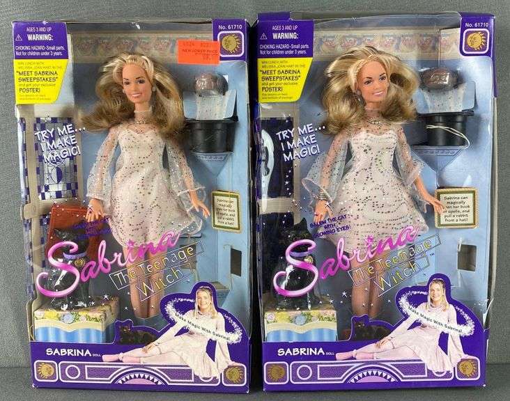 Group of 2 Kenner Sabrina The Teenage Witch Fashion Dolls - Matthew ...