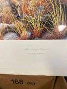 John Eberhardt artist signed dear print limited edition - Matthew ...