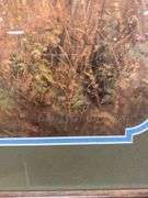 NWTF Hayden Lambson limited edition artist signed wildlife dear print ...