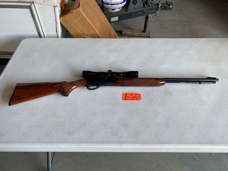 Remington Speedmaster Model 5522 22 Caliber Semi Automatic Rifle ...