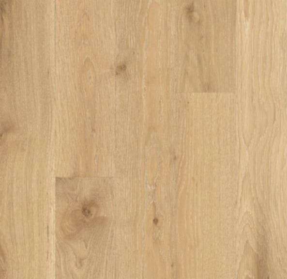 1box Allen and Roth essence gold oak solid hardwood flooring covers 19 ...