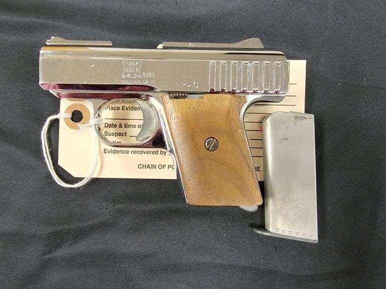 Raven Arms Model P-25 .25 Auto Handgun With magazine - Metzger Property ...