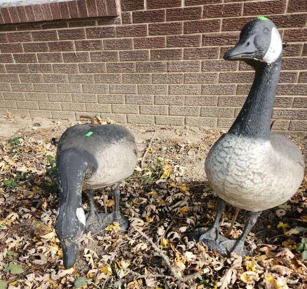Plastic lawn geese - Metzger Property Services LLC