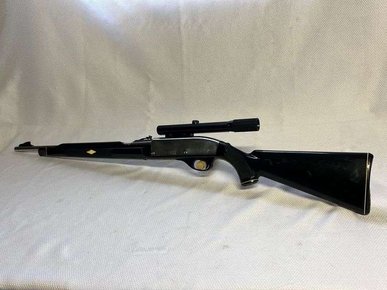 Remington .22 Cal. Long rifle , nylon 66 stock, With Bushnell 3X Dash ...