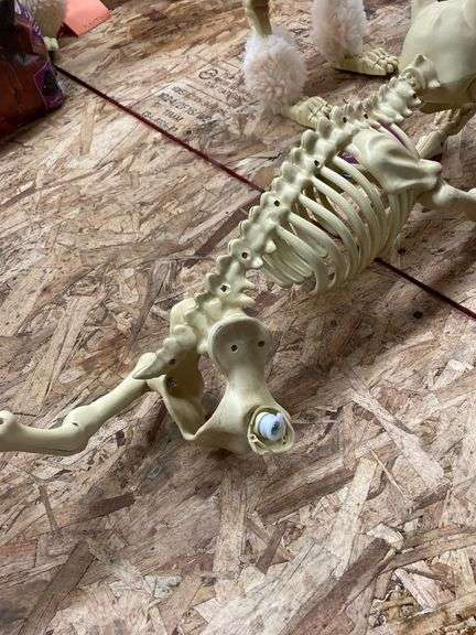 Home Accents Holiday Grave & Bones animated LED Skeleton Dog,back right ...