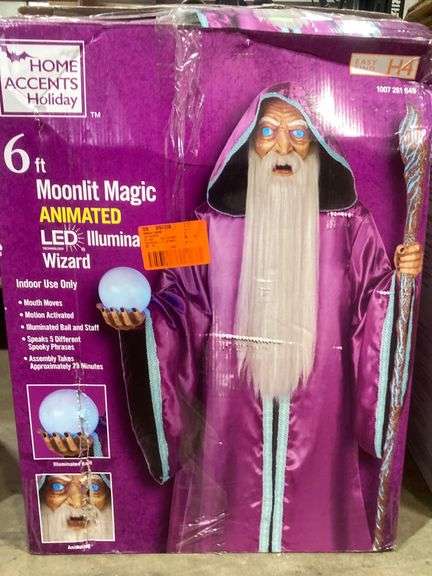 Home Accents Holiday 6 ft Animated Illuminated Wizard Halloween ...