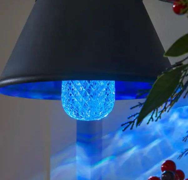 LED Light Show Model:1007610220 Deluxe Color Motion Light Bulb ...