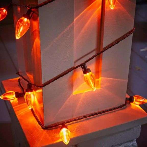 Home Accents Holiday 13 In. Led Jumbo Bulb With Timer (Green) at Mary ...