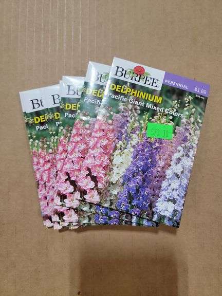 10 Packs Burpee Flower Seeds - Metzger Property Services LLC