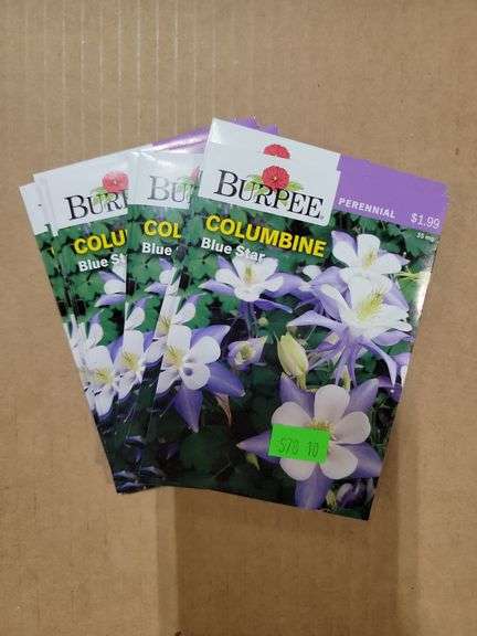 10 Packs Burpee Flower Seeds - Metzger Property Services LLC