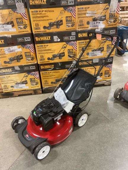 Toro Recycler 21 in. Briggs and Stratton Low Wheel RWD Gas Walk Behind ...