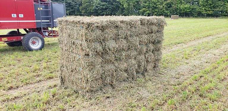21 Small Square Bales First, second and Third cutting Alfalfa/Grass hay ...