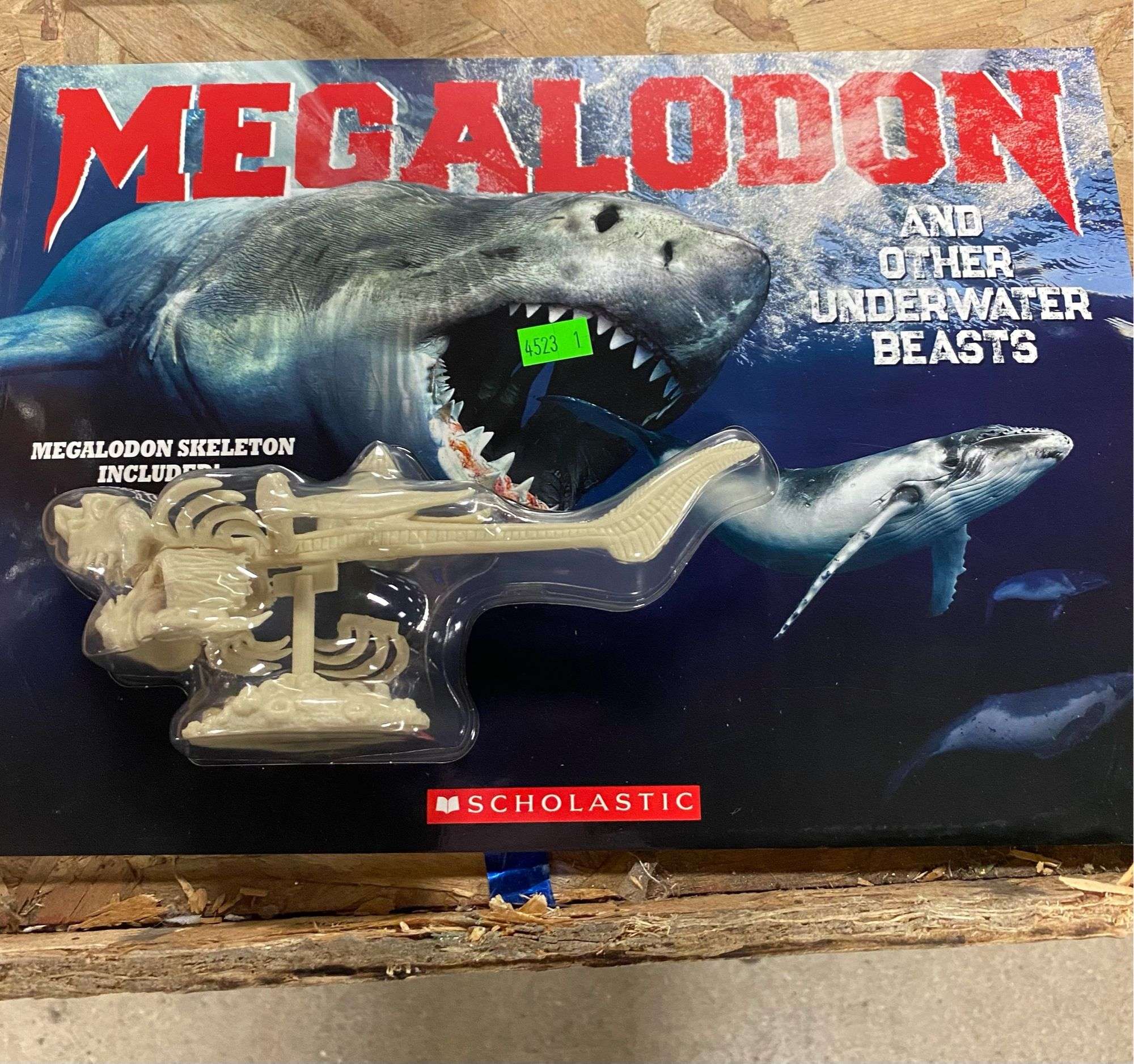 Megalodon Skeleton