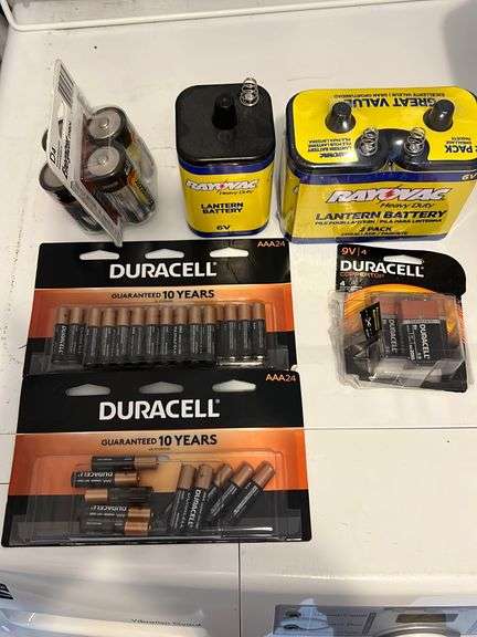 Battery Assortment and Sterilite tote - Metzger Property Services LLC