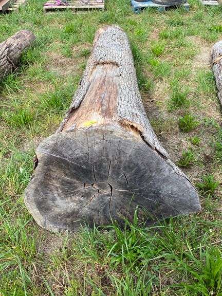 108x17” White Oak log - Metzger Property Services LLC