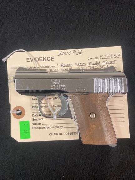 Raven Arms Model MP.25, 25 Cal Auto Pistol - Metzger Property Services LLC