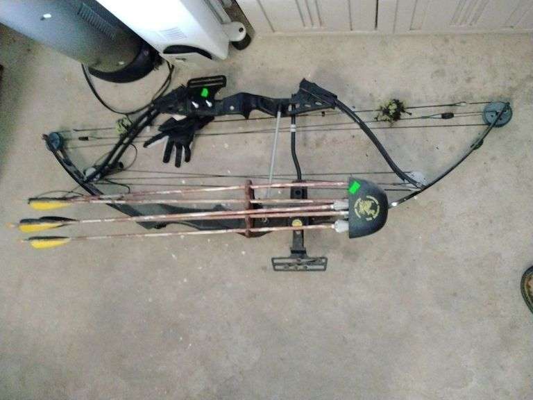 Gilden Eagle Compound bow with arrows and XI compound bow - Metzger ...