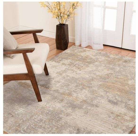 Home Decorators Collection Medina Beige 5 ft. x 7 ft. Abstract Area Rug ...