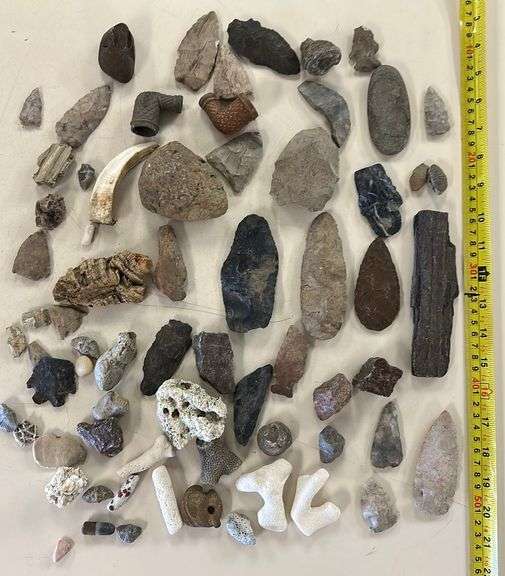 Native American points, fossils and stones - Metzger Property Services LLC