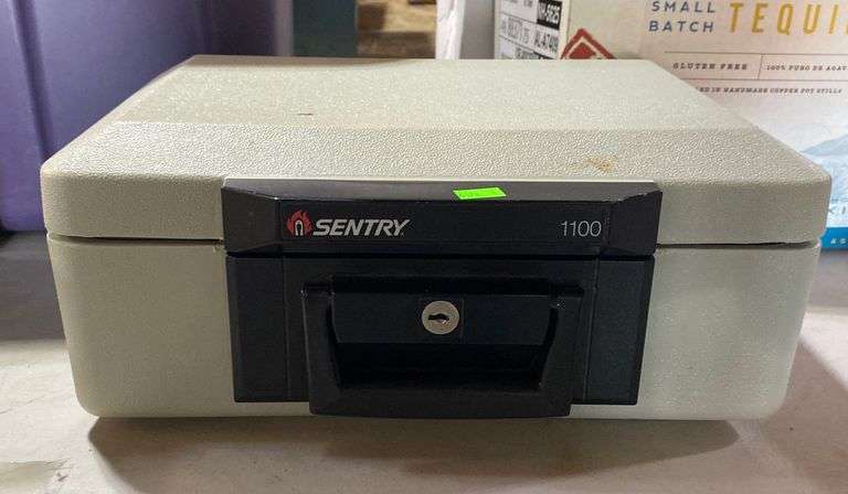 Sentry safe 1100 15”x 11” - Metzger Property Services LLC
