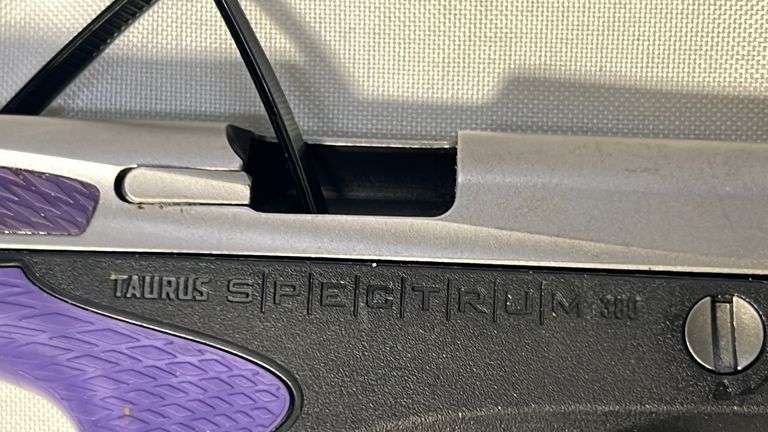 Taurus Spectrum .380 Serial # IF29806 Handgun & Clip - Metzger Property ...