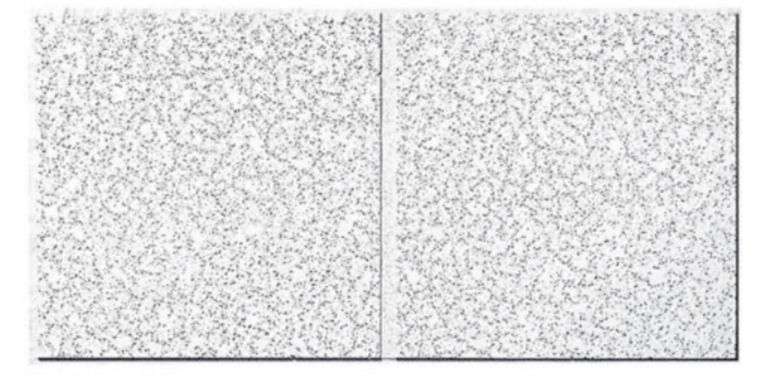 Armstrong® Ceilings Cortega® Second Look® II 2' x 4' White Textured ...