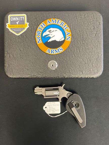New North American Arms Model NAA-22MS-HG Revolver .22 Mag with hard ...