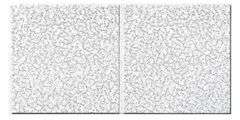 Armstrong® Ceilings Cortega® Second Look® II 2' x 4' White Textured ...