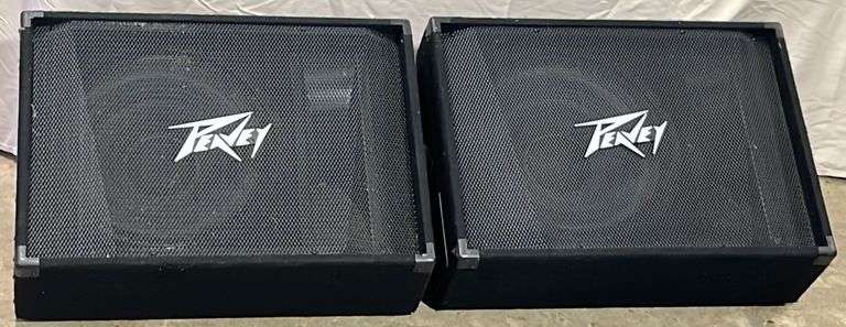 Pair of Peavey 15M Monitor Speakers - Monitor or Stand Mounted Speakers ...