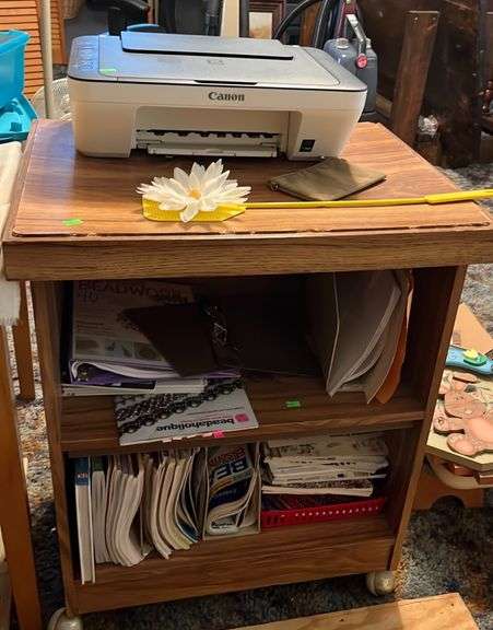 Canon PIXMA copier scanner printer and stand with contents 25x20x30 - Metzger Property Services, LLC