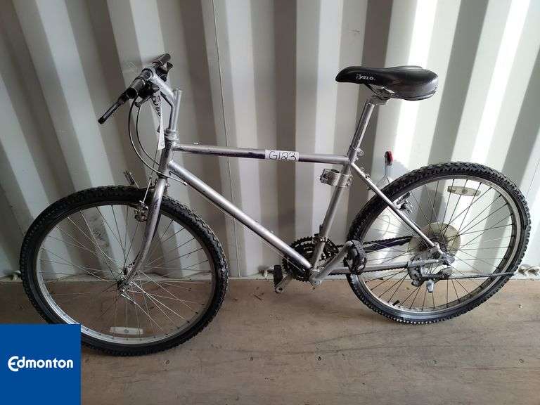 Painted Silver Bike - Michener Allen Auctioneering Ltd