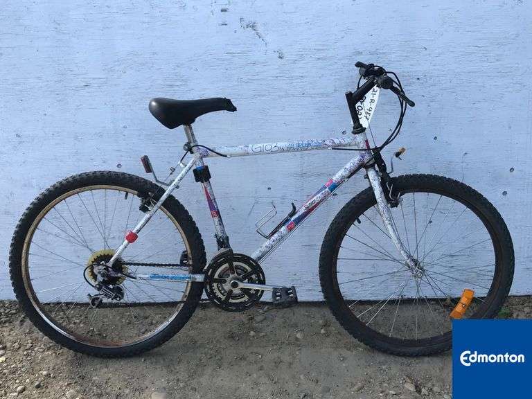 Suteki Bike - Michener Allen Auctioneering Ltd