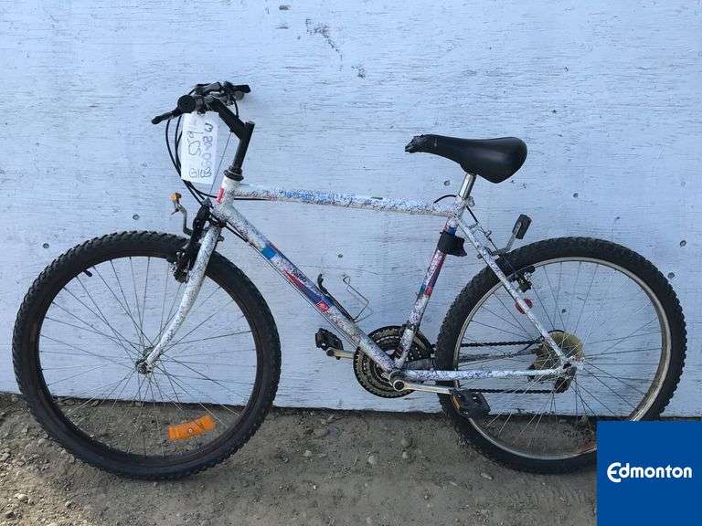 Suteki Bike - Michener Allen Auctioneering Ltd