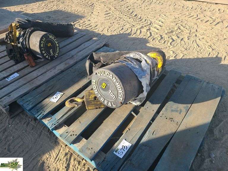 5 Ton Electric Chain Fall-1 Pallet - Michener Allen Auctioneering Ltd